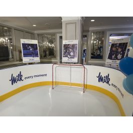 Residential Ice Hockey Rink Package 20ft x 40ft LITE